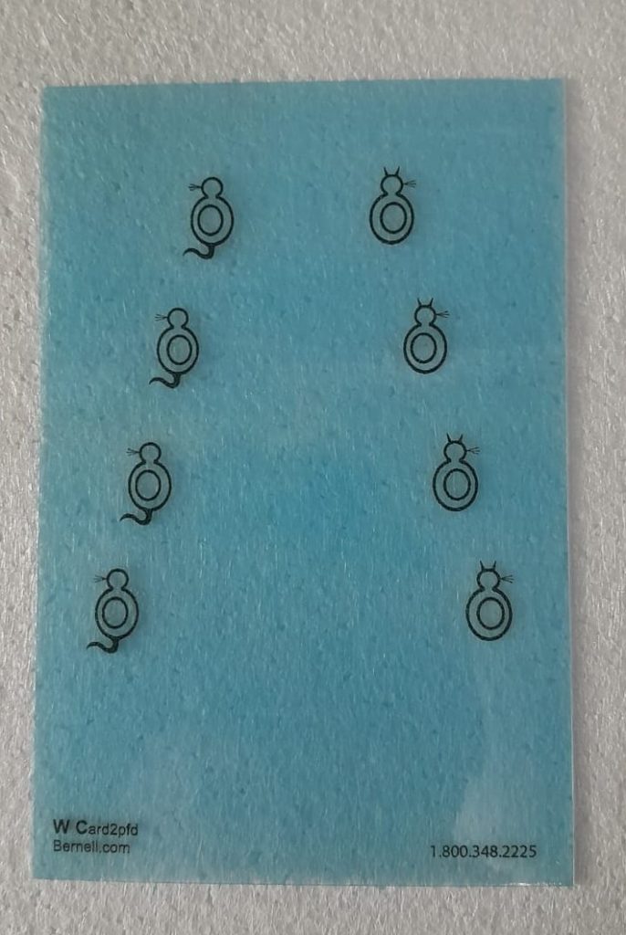 WCARDST Wiley Cat Cards Translucent Set of 7 - Jutron Vision